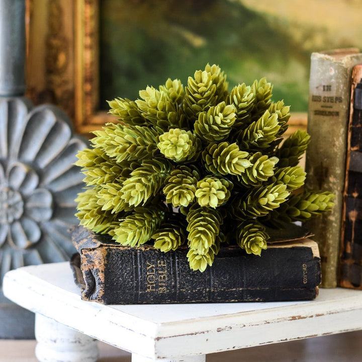 Shop All – Page 3 – Lost and Found Vintage Shop